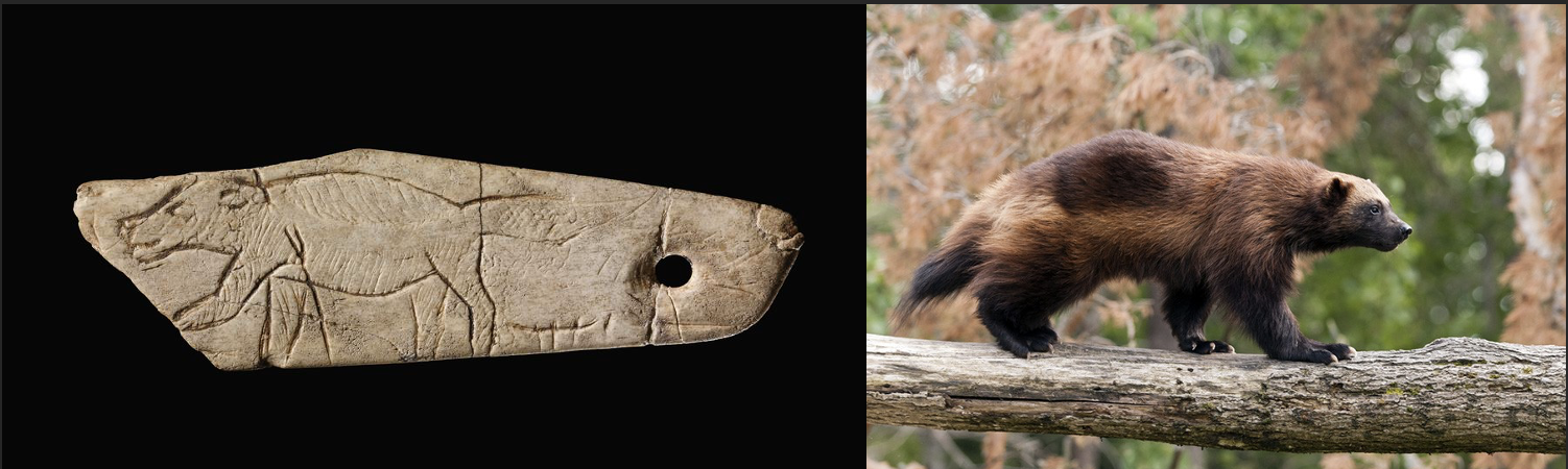 Historical Artifact – Wolverine pendant of Les Eyzies – Ananya Eriyat