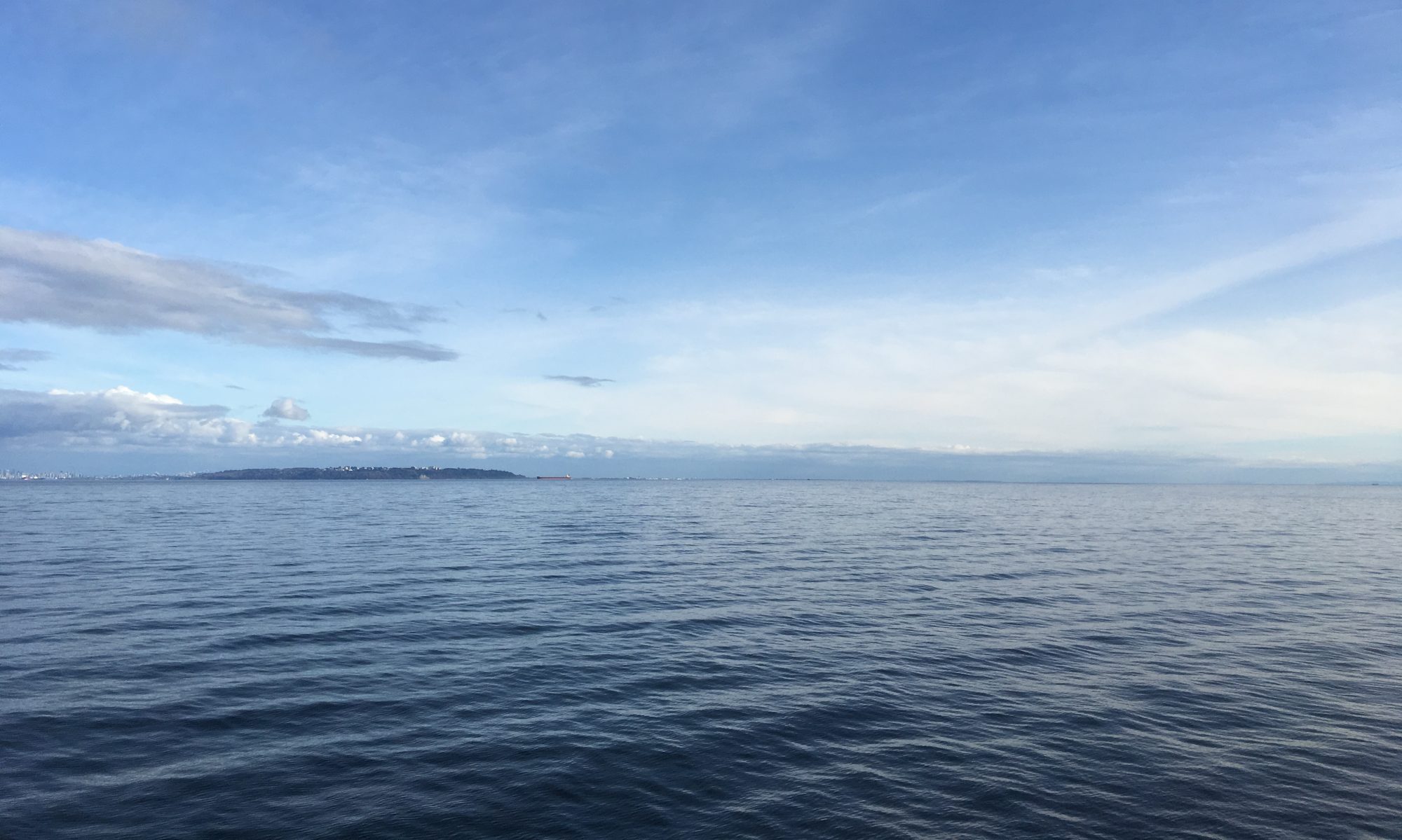 ENGLISH 338 Assignments – Rosalind Gorrie